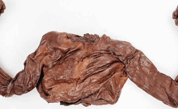 Bog Bodies at The National Museum | Wren Urban Nest